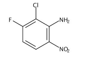 China 2-Chloro-3-fluoro-6-nitrobenzenamine ;Benzene Ring Compounds ;CAS   948014-34-4 for sale