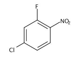 China 1-Chloro-3-fluoro-4-nitrobenzene ;Benzene Ring Compounds ;CAS   700-37-8 for sale