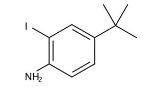 China 2-Iodo-4-tert-butylaniline ;Benzene Ring Compounds;CAS   128318-63-8 for sale