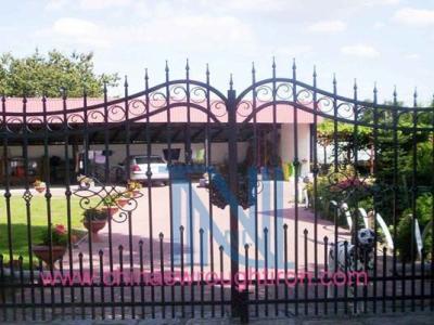 China wrought iron main gate,Forged Steel Gate for Your Home,Fer Forge Gate for sale