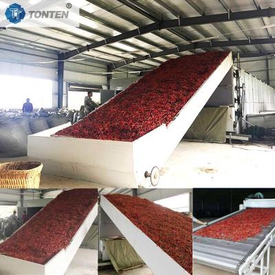 Cina Chili Crisantemo Cassava Asciugatrice con nastro trasportatore in vendita