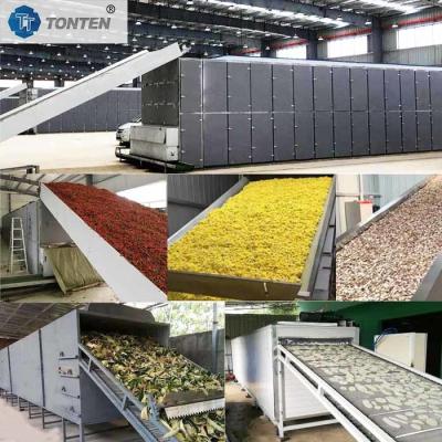 Cina Chili Crisantemo Cassava Asciugatrice con nastro trasportatore in vendita