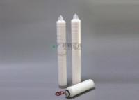 China Microelectronics PP Pleated Filter Cartridge Sterilizing Grade for sale