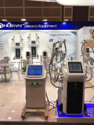 China accurate time temperature and vacuum control 4 head coolplas cryolipolysis machine for sale