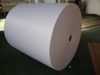 Κίνα Ανακυκλώσιμο χαρτί Tyvek Roll Ανθεκτικό στα δάκρυα Προσαρμοσμένα έντυπα φύλλα Tyvek προς πώληση