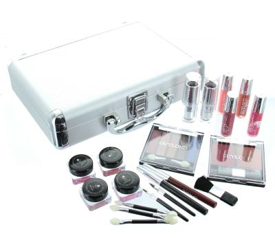 China Cosmetics Carry All Train Case with Makeup and Reusable Aluminum Case for sale