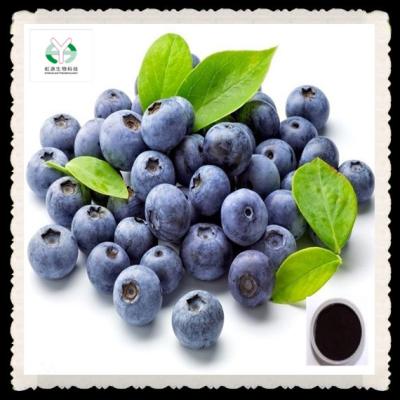 China GMP Supplier Bilberry Extract for sale