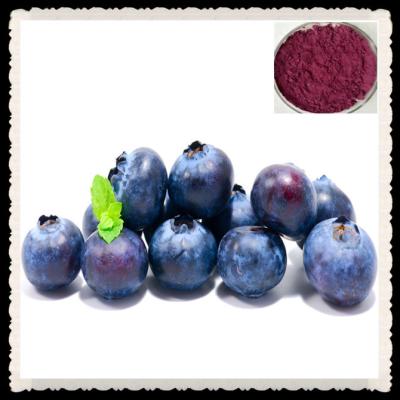 China Factory with GMP, Kosher Bilberry Extract for sale