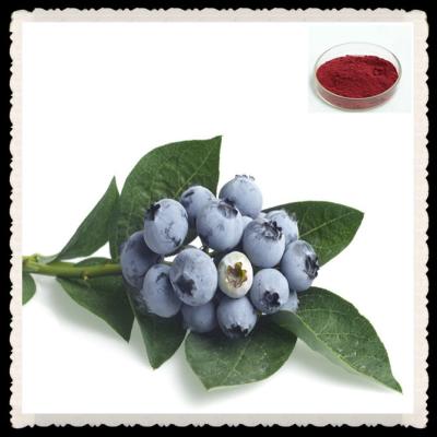 China Factory with GMP, Kosher Bilberry Extract for sale