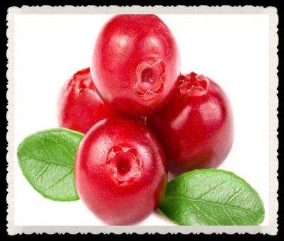 China GMP supplier supply cranberry extract for sale