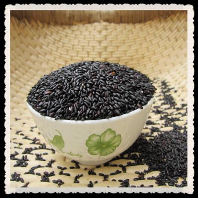 China High Quality Organic Black Rice Extract for sale