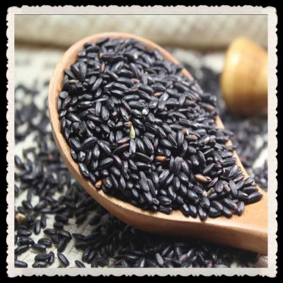 China Black Rice Extract for sale