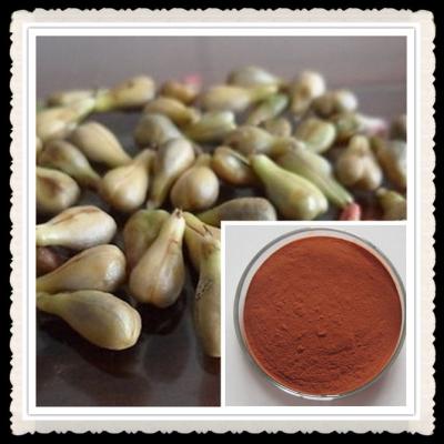 China 100% purity Grape seed extract for sale