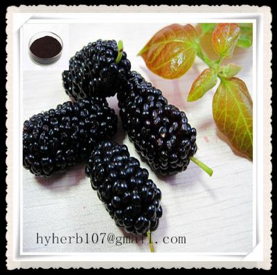 China mulberry fruit p.e for sale