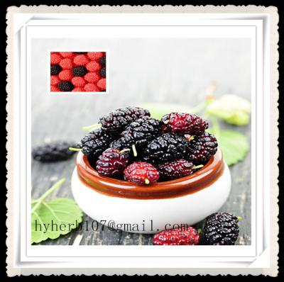China Mulberry Fruit Extract/Anthocyanins UV25% for sale