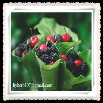 China 100% Natural High Quality Mulberry P.E. with 5%, 10%, 15%, 20%, 25% Anthocyanins for sale