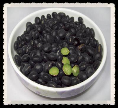 China Organic Black Soybean Powder Supplier for sale