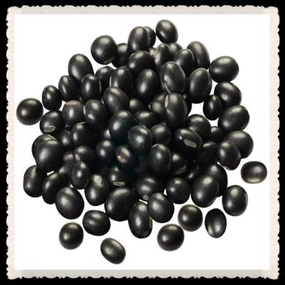 China Black Soybean Hull Powder for sale