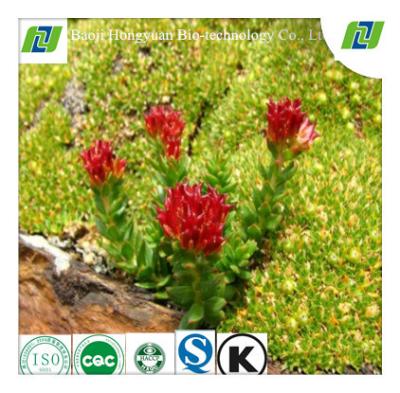 China Rhodiola P.E. Salidroside3% for sale