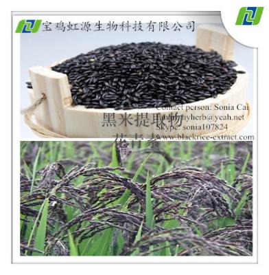 China Hot Selling Black Rice Extract Powder in 2015 for sale