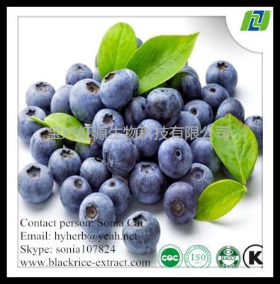 China 100% natural Blueberry Extract for sale