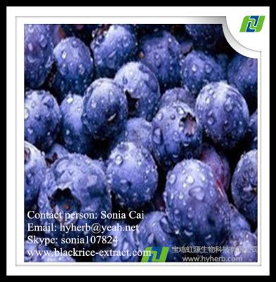 China factory supply pure natural organic bilberry extract,anthocyanidins 25% for sale
