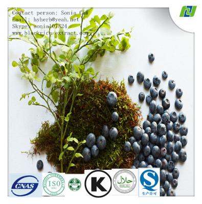 China Bilberry Extract for eye health for sale