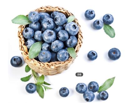 China 2015 TOP hot selling Bilberry Extract for sale