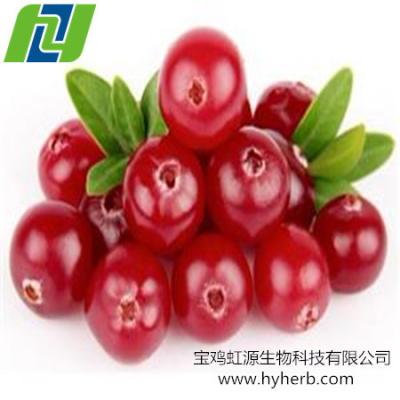 China cranberry extract proanthocyanidins 25%-50% for sale