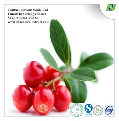 China Hongkong Imported Cranberry extract for sale