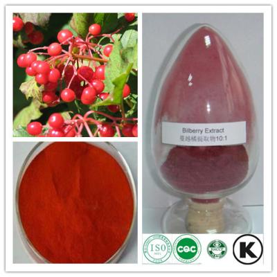 China Cranberry Extract 30%-50% Proanthocyanidin for sale