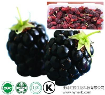 China High quality organic dried Mulberry Fruit Extract powder for sale