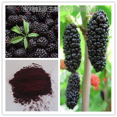 China High quality organic dried Mulberry Fruit Extract powder for sale