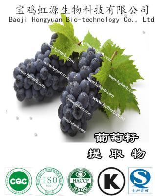 China 100% natural OPCgrape seed extract for sale