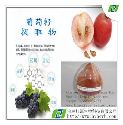 China Grape Seed Extract For Skin Wrinkles for sale