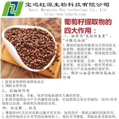 China Grape Seed Extract Vitis Vinifera for sale