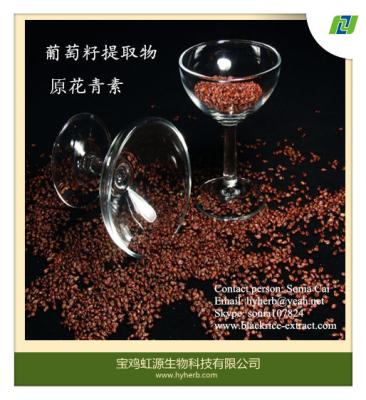 China 100% natural high quality grape seed extract for sale
