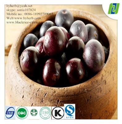 China 5:1 10:1 20:1 Water Soluble Acai Berry Extract for sale