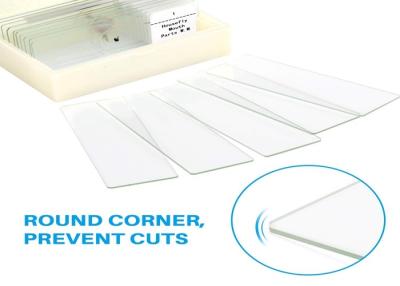 中国 植物の病気の顕微鏡のスライドは第一次/中間/高等学校のために置きました 販売のため