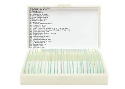 中国 準備されたガラス生物学の教授の組織学は顕微鏡で学んでいる学生のために滑ります 販売のため