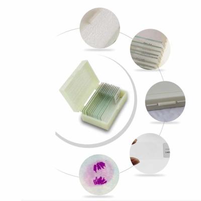 中国 ブティックの減数分裂の医学研究12PCSは前に顕微鏡のスライドを準備した 販売のため