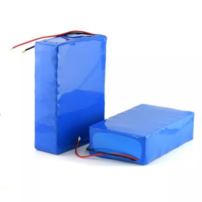 Cina OEM ODM LiFePO4 batteria al litio NMC NCM batteria al litio ricaricabile per bicicletta elettrica scooter elettrico in vendita