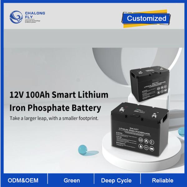 Il ciclo profondo astuto della batteria al litio della batteria al litio 12V 100Ah del ODM LiFePO4 dell'OEM ha personalizzato i pacchetti della batteria al litio della batteria