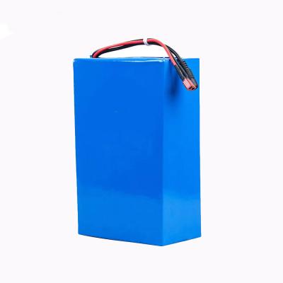 Cina Batteria al litio 24V 36V 48V 52V 60V 30AH 50AH 100AH 1000W 1500W del motorino LiFePO4 della E-bici in vendita