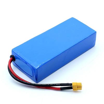 Cina Batteria al litio 24V 36V 48V 52V 60V 30AH 50AH 100AH 1000W 1500W del motorino LiFePO4 della E-bici in vendita