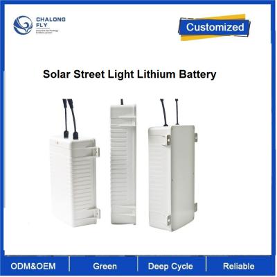 China 12V 24V Energy Storage Battery Pack for Street Light Security Monitoring for sale