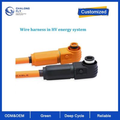 China High Power Battery Line Energy Power Harness Photovoltaic Energy Storage Cabinet for Medical Equipments IP67 Flame Retardant Rating for sale