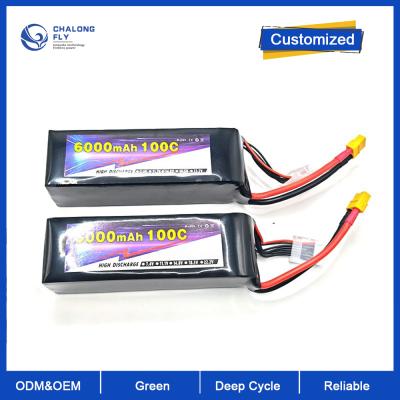 La batteria del ODM LiFePO4 220V 3200W IP54 dell'OEM che scambia la stazione con la funzione dell'allarme antincendio ha personalizzato