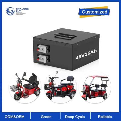 China Electric Vehicle LiFePO4 Lithium Ion Battery 51.2V 25-100AH with 2000/3000/5000W Motor Controller for sale