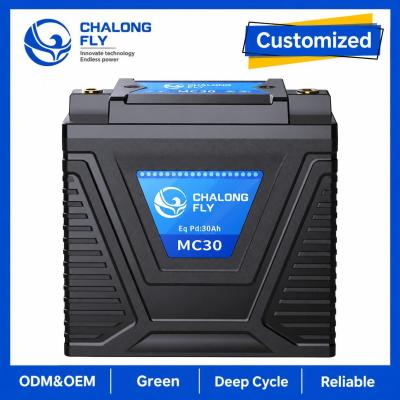 China 12.8V 10Ah LiFePO4 Motorcycle Starter Battery 600A for 15–30Ah Lead-Acid Replacement for sale